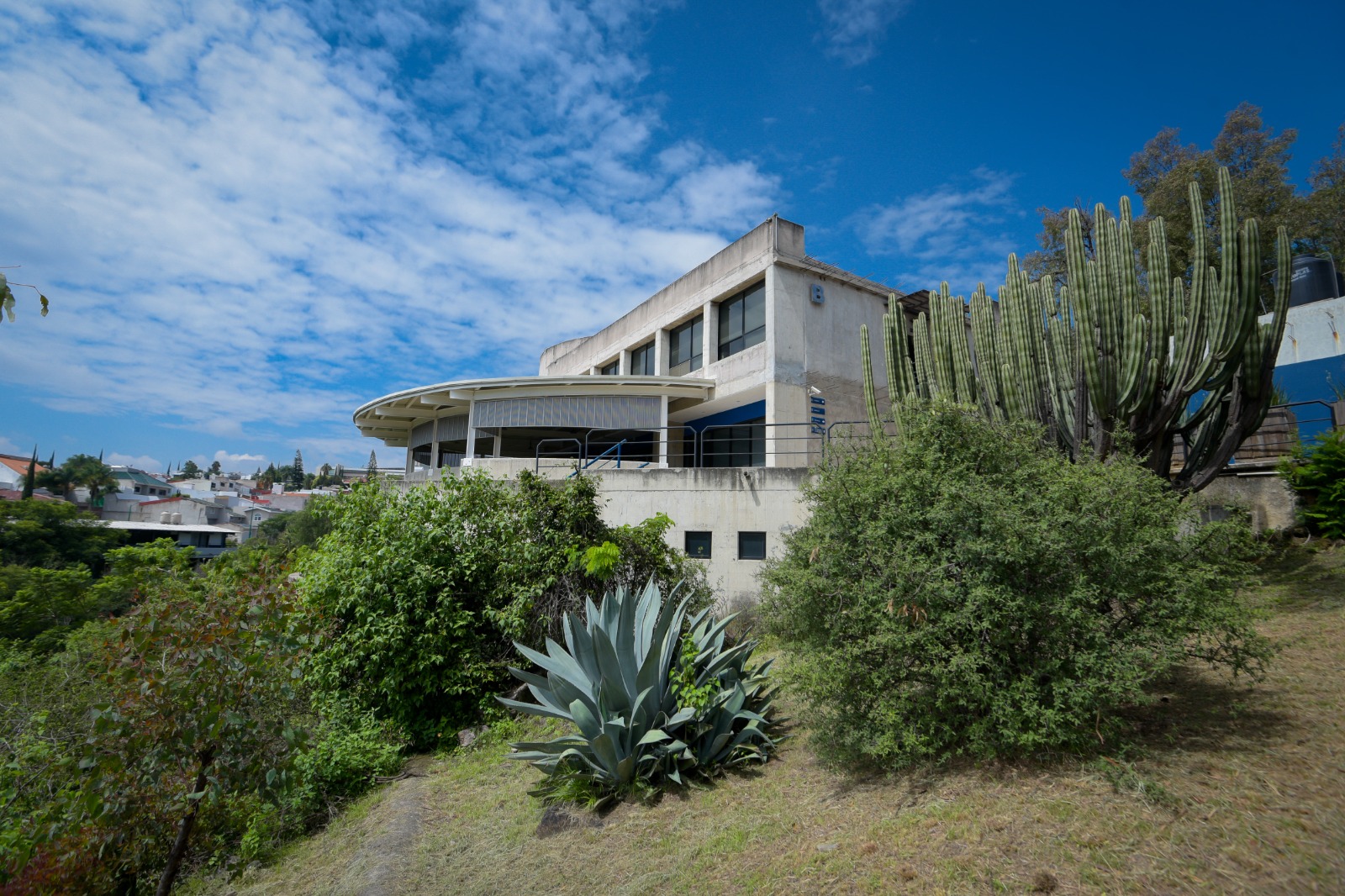 Campus León UG abre convocatorias para la designación de directivos ...