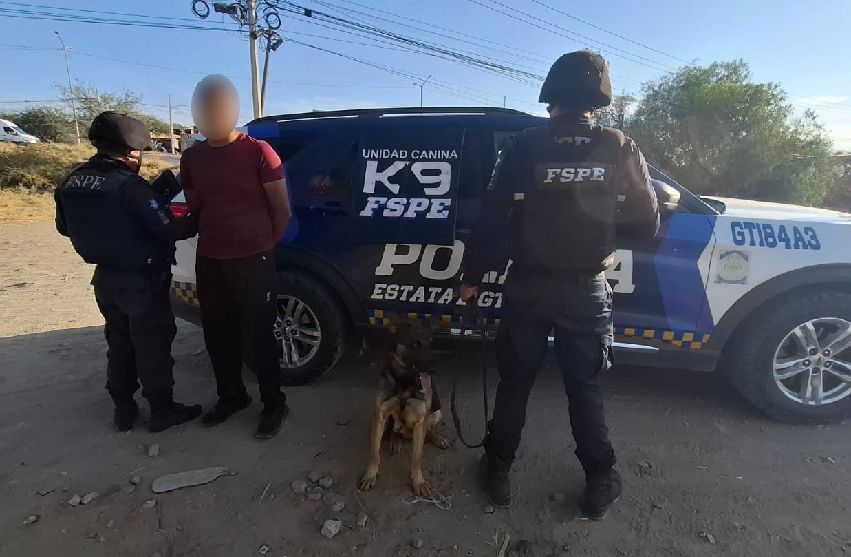 Detienen a hombre armado en Silao con apoyo de Grupo K9 ...