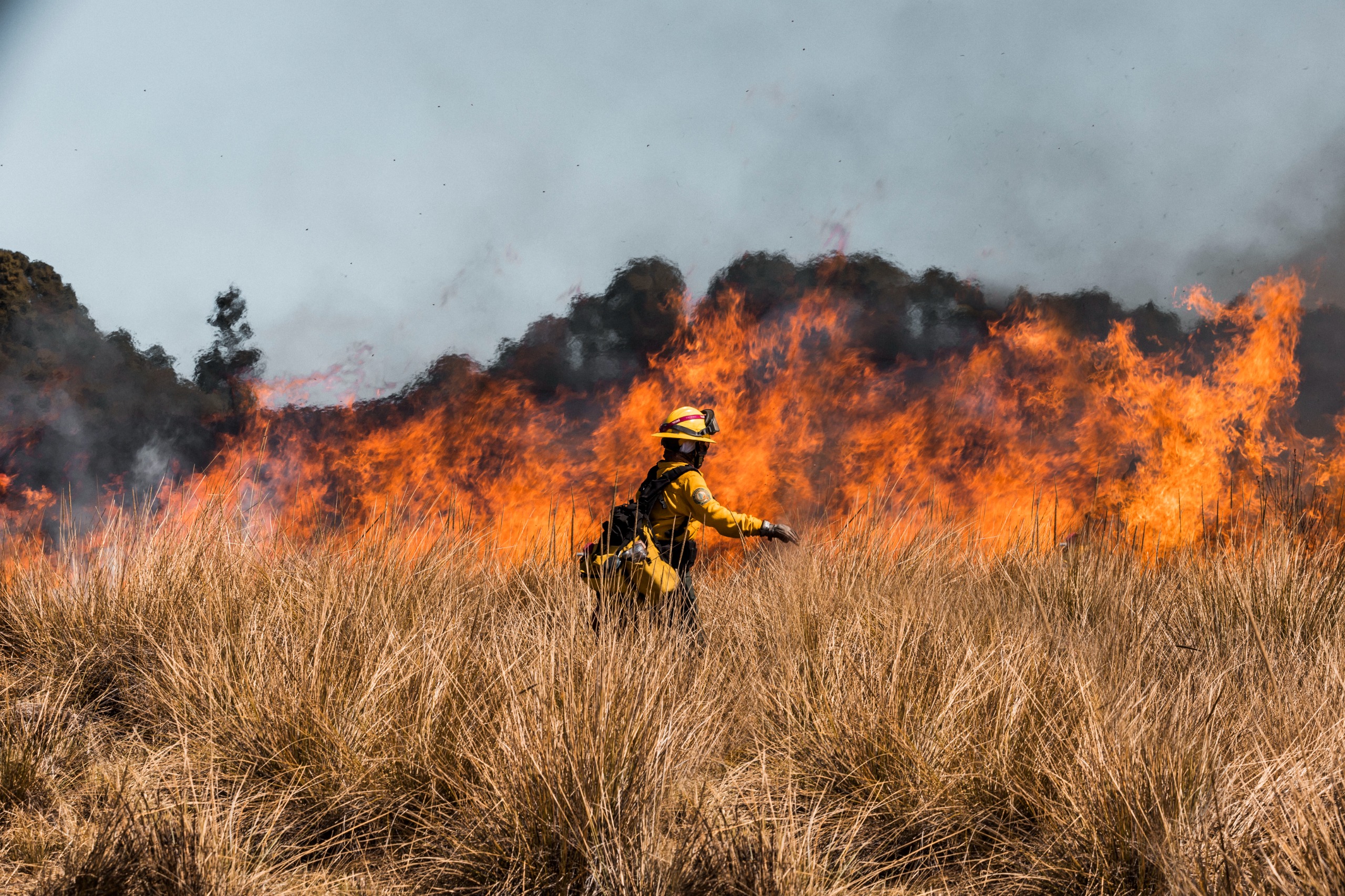Llaman autoridades a prevenir incendios forestales y pastizales ...