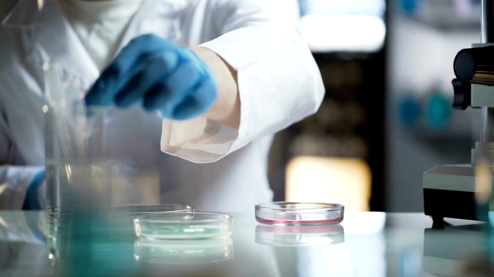 Universidad de Guanajuato destaca por su capacidad científica: 716 ...